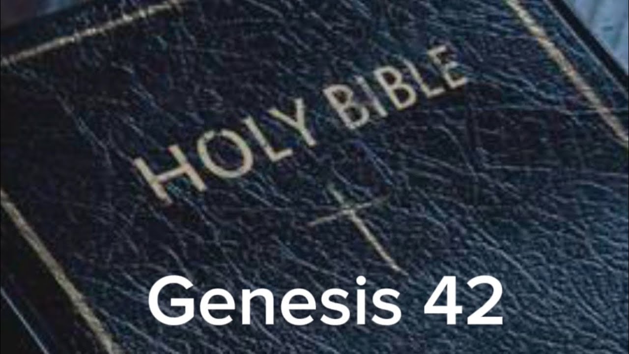 Genesis 42 (NIV) The Audio Bible - YouTube