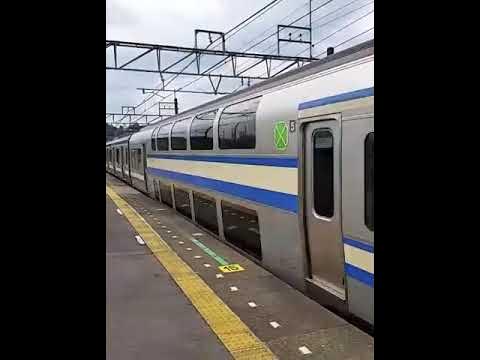 E217系クラY-110編成+クラY-44編成上総一ノ宮発車 - YouTube