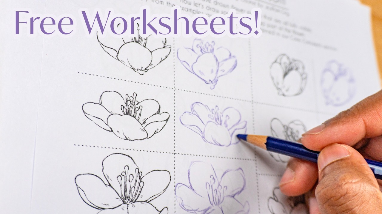 How to Draw Cherry Blossoms - FREE Worksheets! - YouTube