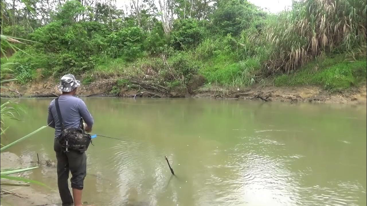 Mencoba mancing adungan di sungai arus deras - YouTube