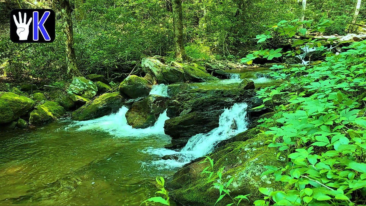 Original Content | Natural scenes | Natural Sound | Sound for Sleep ...