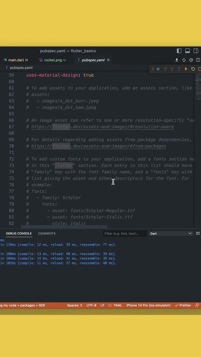 Flutter Asset Image - YouTube