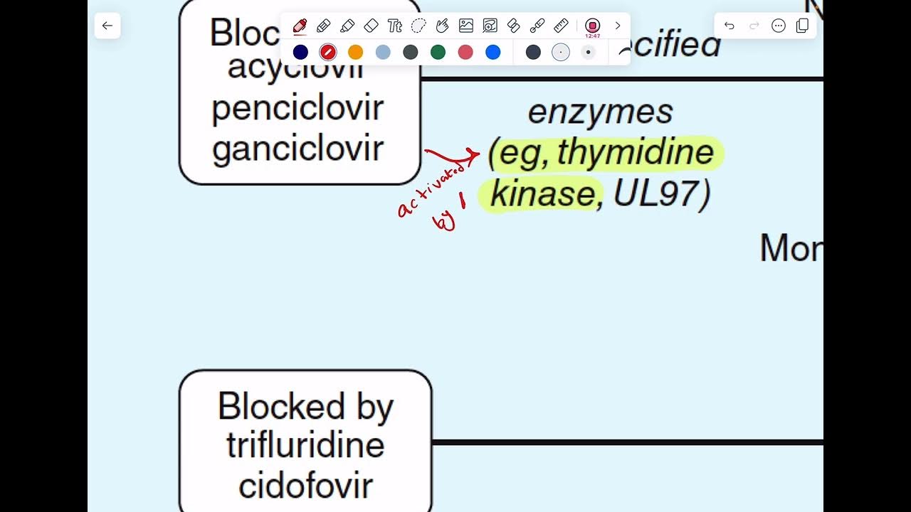 POD2 L25, L26 Antiviral Drugs MD1_rev NAA by Dr. Seham - YouTube