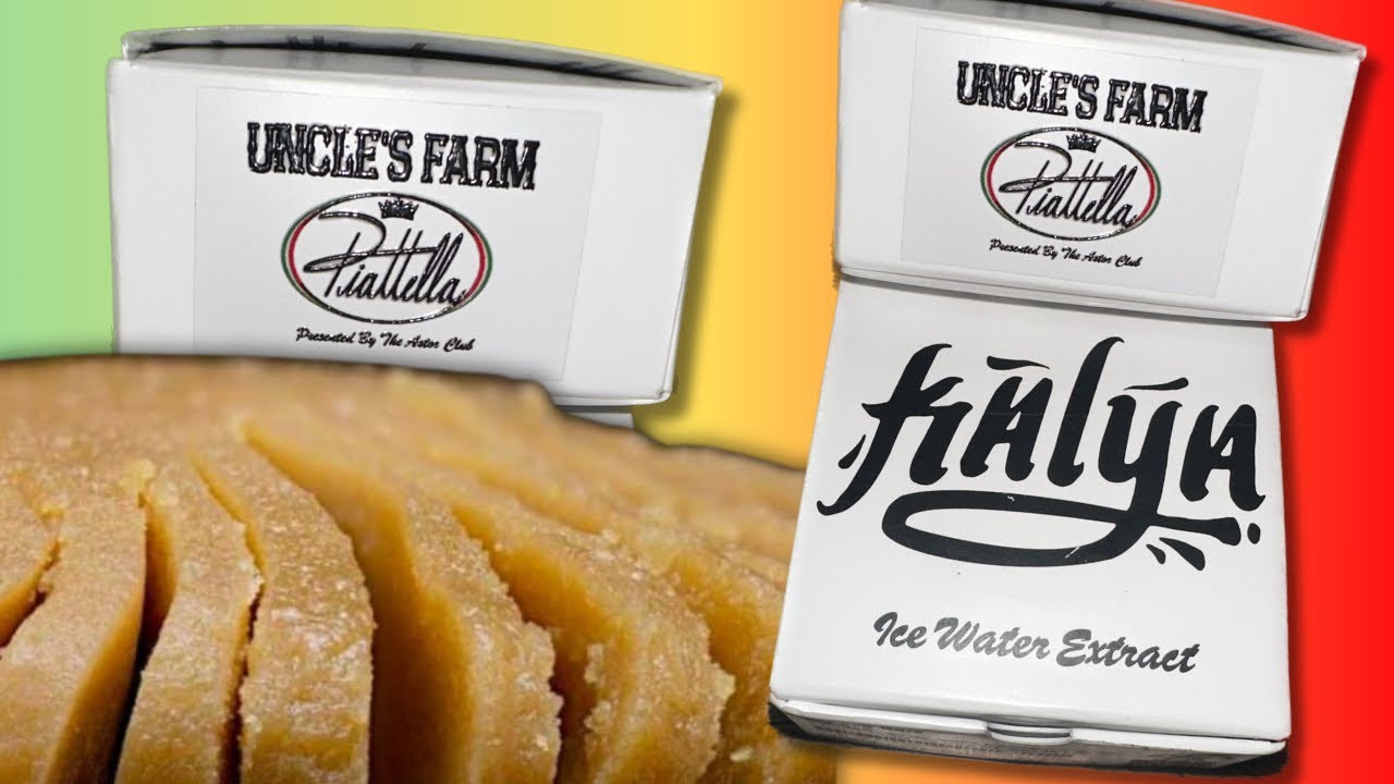 is PIATELLA worth the HYPE? UNCLE’S FARM x KALYA REVIEW - YouTube