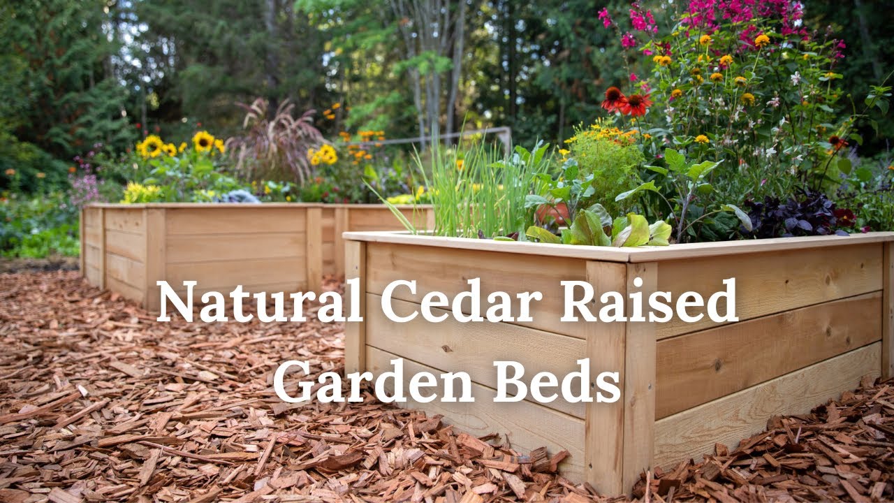 Natural Cedar Raised Garden Beds - YouTube