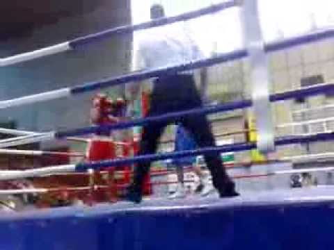 mini tyson