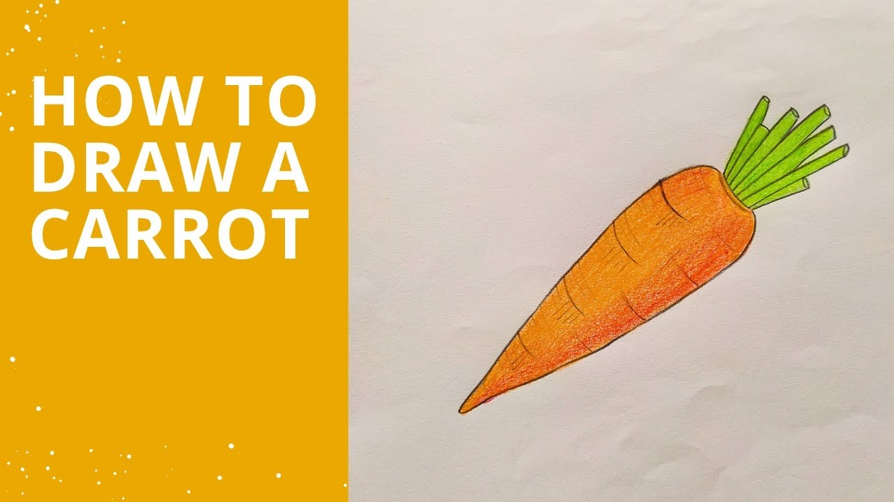 How to draw a carrot/easy carrot drawing/গাজর - YouTube