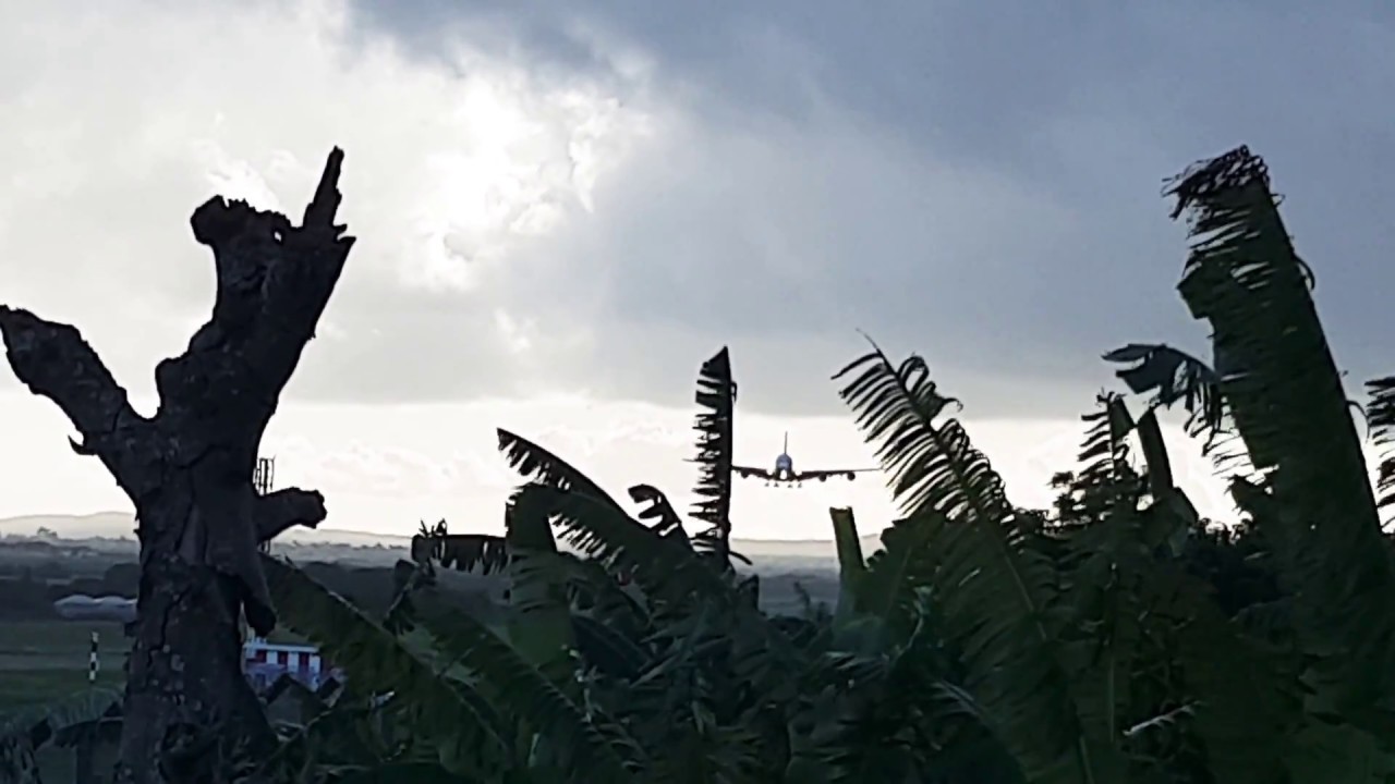 Emirates EK703 Landing (A6-EUZ; Year of Zayed 2018 Livery) - YouTube