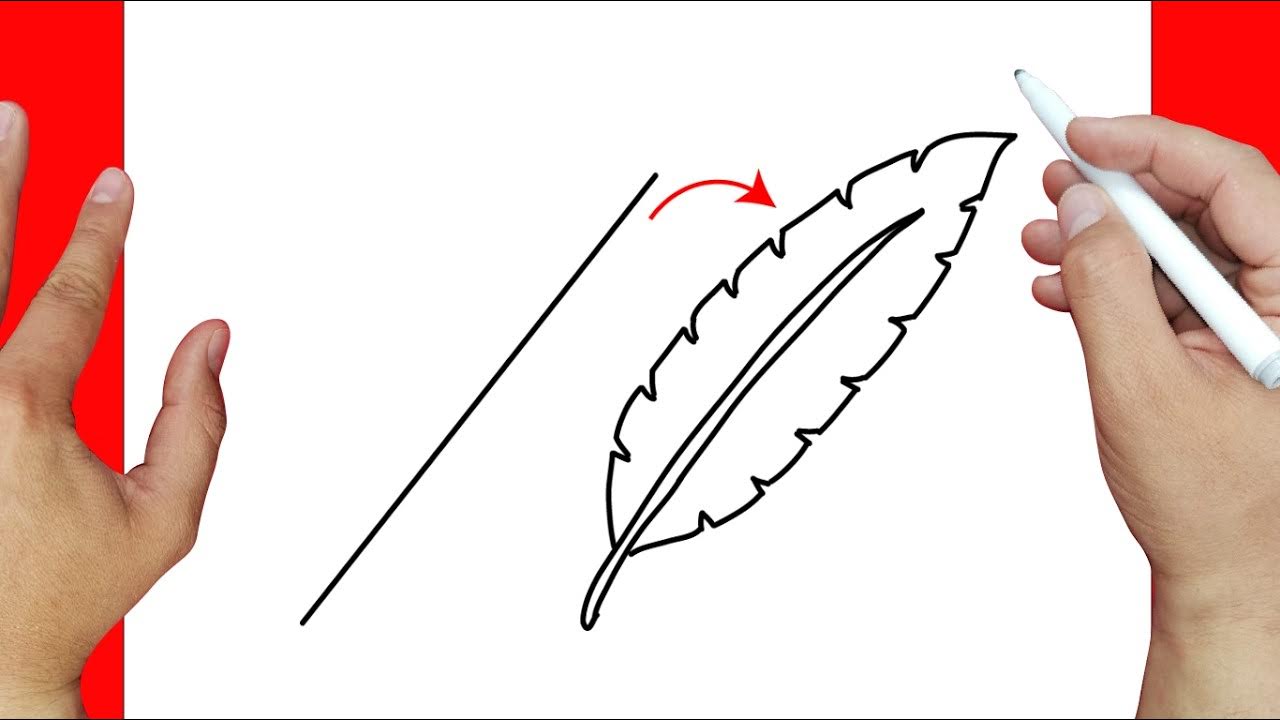 Cómo Dibujar Una Pluma Paso A Paso Dibujos Fáciles Youtube