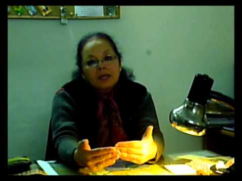 4 Dr Ameena Kazi Ansari on her role in the NESA exchange program - YouTube