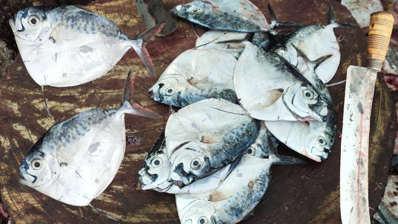 Amazing Moon Fish Cutting Skills | RS.250 $ 2.70 | Asian Fish Market ...