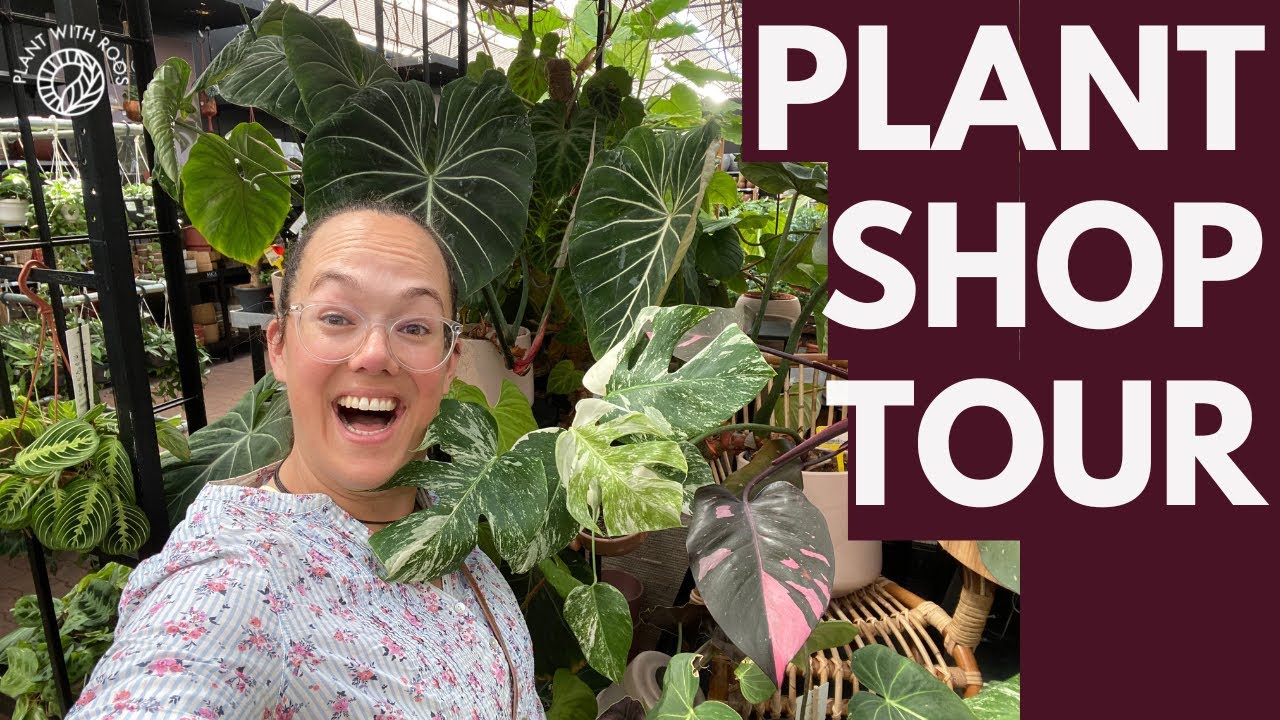 Plant Shop Tour! Bosrand Oegstgeest | Plant with Roos - YouTube