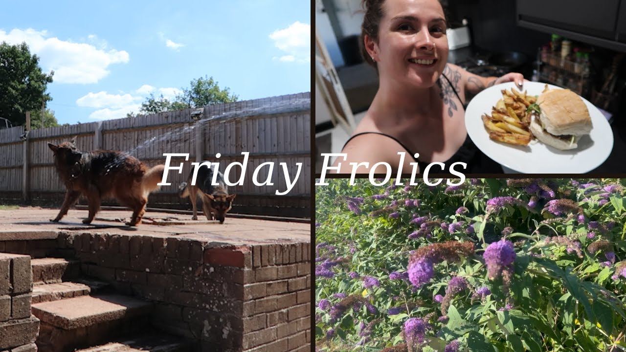 Friday Frolics #11 | ☀️ Bekkiboom - YouTube