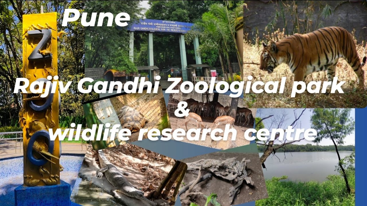 Pune Zoo | 😉😎Enjoyed hole time 🫡 | 💕Rajiv Gandhi Zoological park ...
