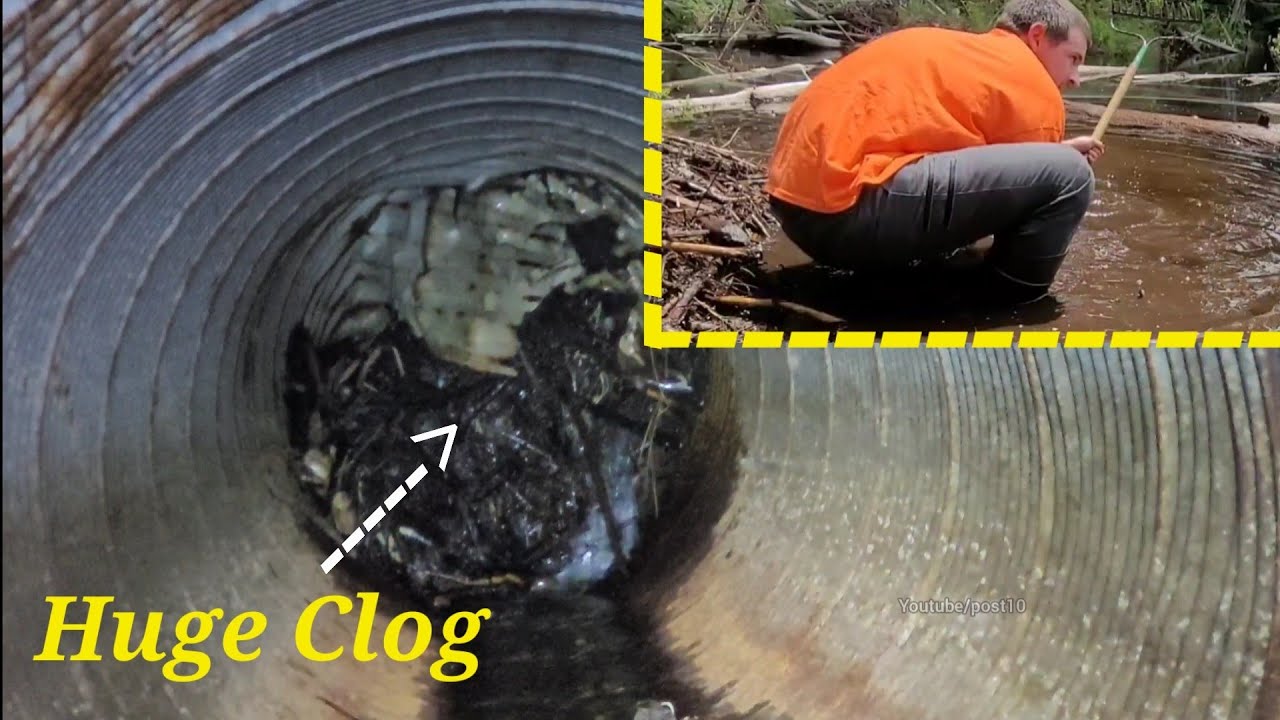 Excavator Operator Talkes To Me As I'm Opening Beaver Clogged Pipe ...