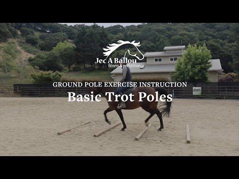 Jec Ballou Ground Pole Exercise | Basic Trot Poles - YouTube
