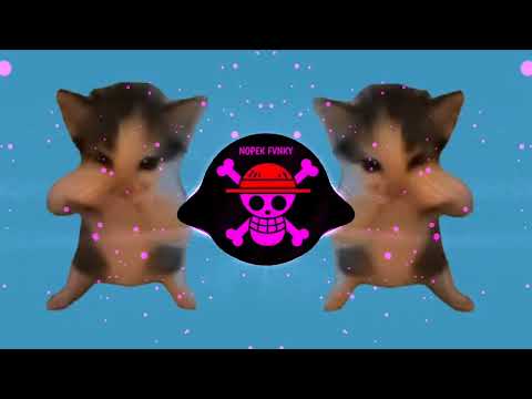 DJ KICAU KICAU MANIA REMIX ANGKAT LAH TOPI MINAT MONGGO JAPRI SLOW VIRAL TIKTOK FULL SONG 2026