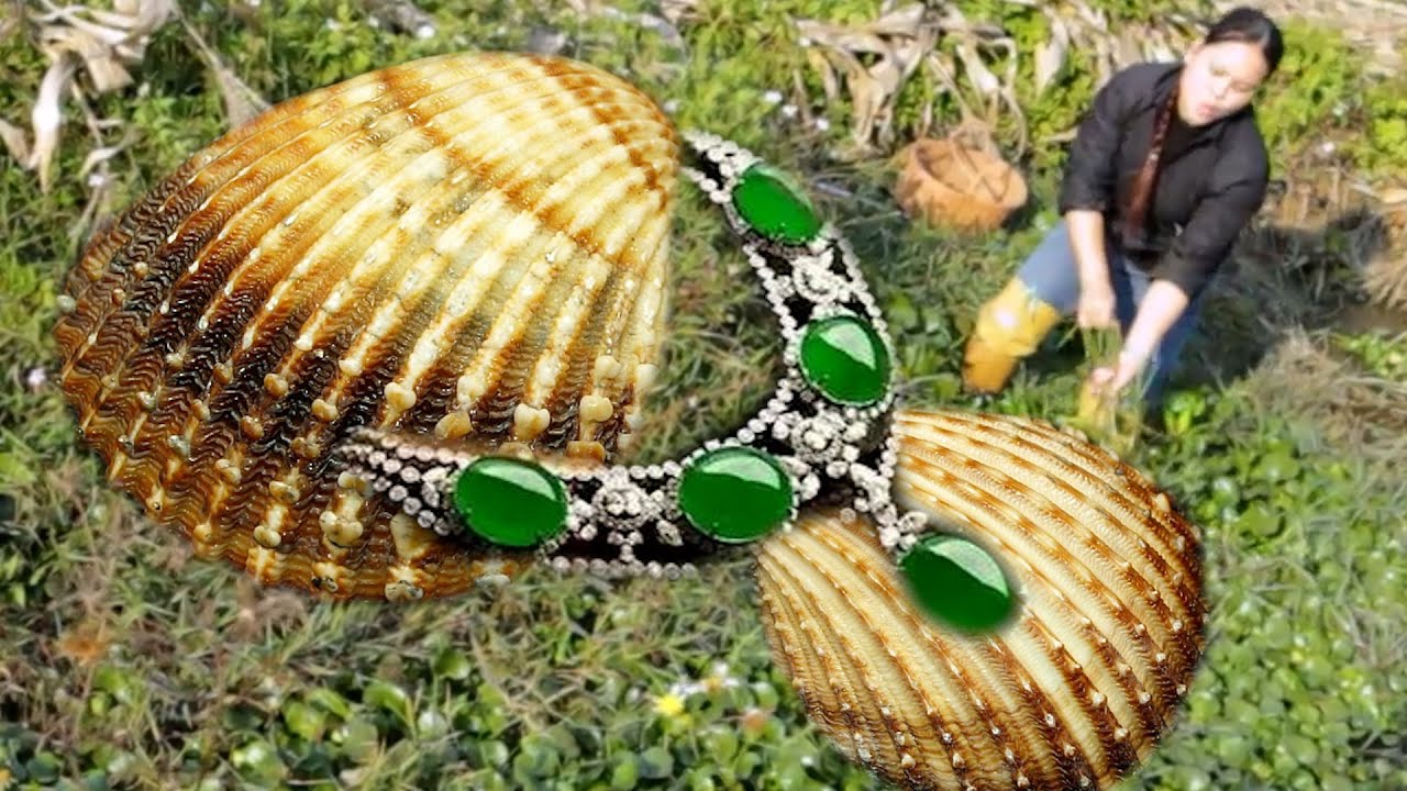 😱🎁 When the girl forcefully tore open the giant clam, she was stunned ...