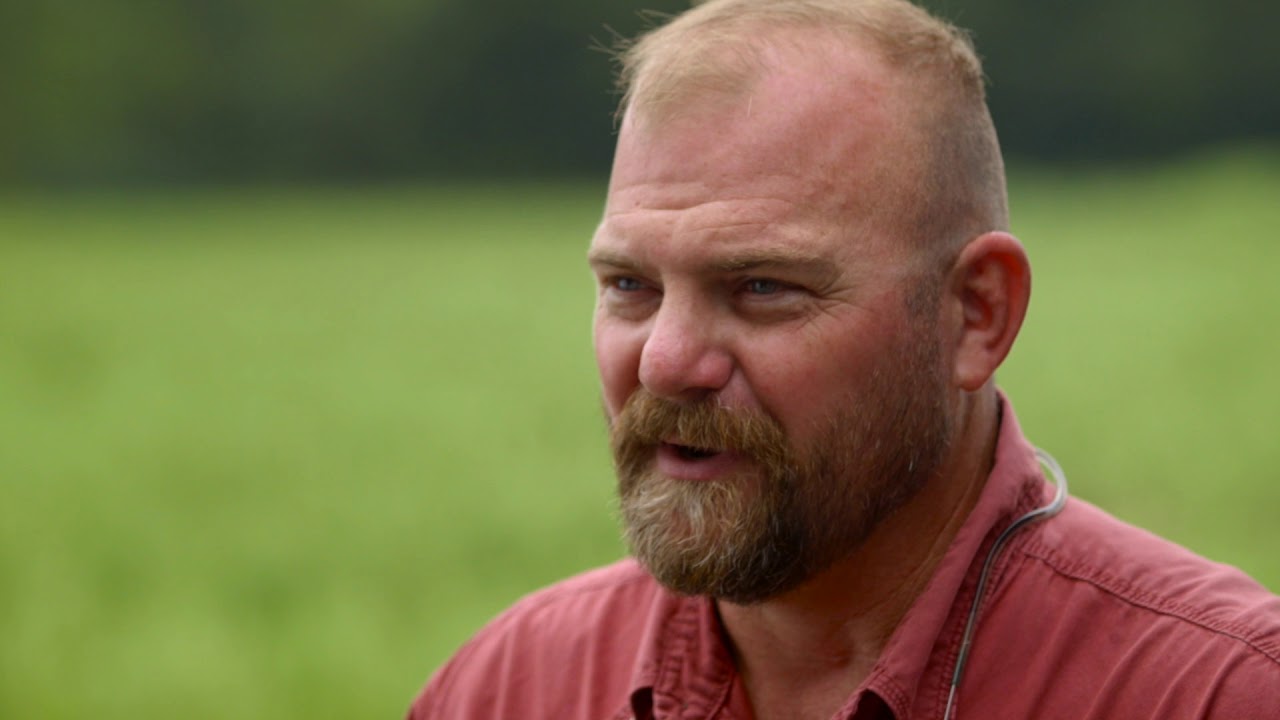 PureCircle North Carolina Stevia Farming Story - YouTube