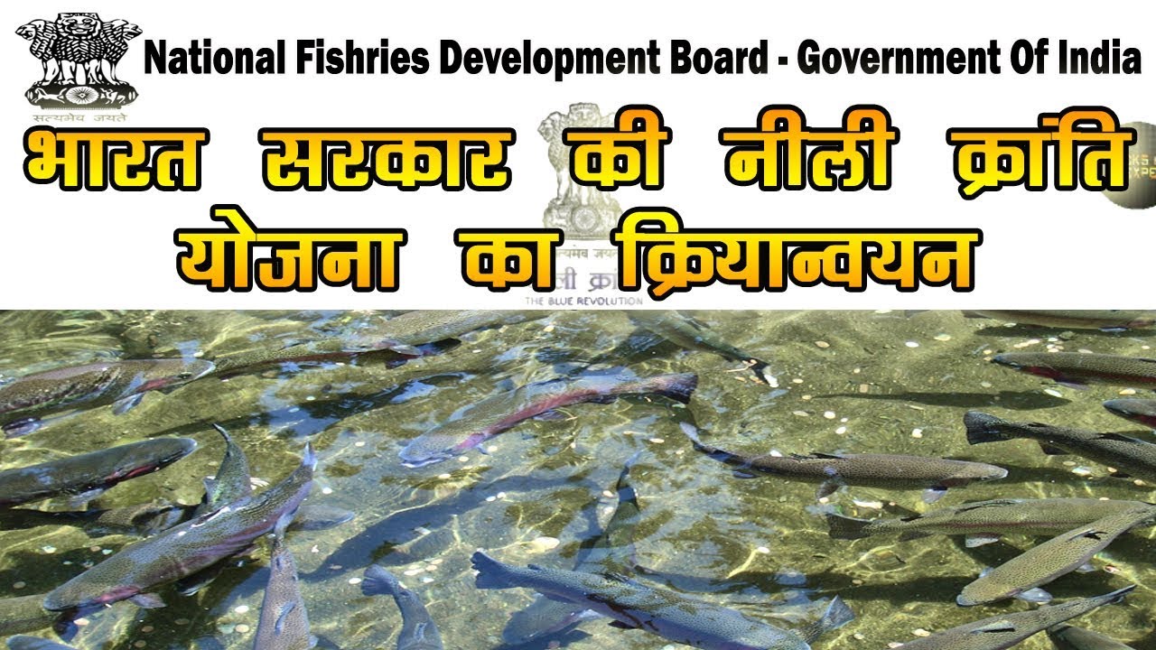 NFDB Fish Farming Neeli Kranti Yojna - नीली क्रांति योजना की ...