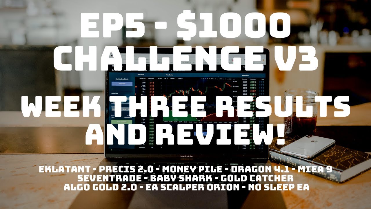 Week Three Results and Review! - EP5 $1000 Challenge v3 - YouTube