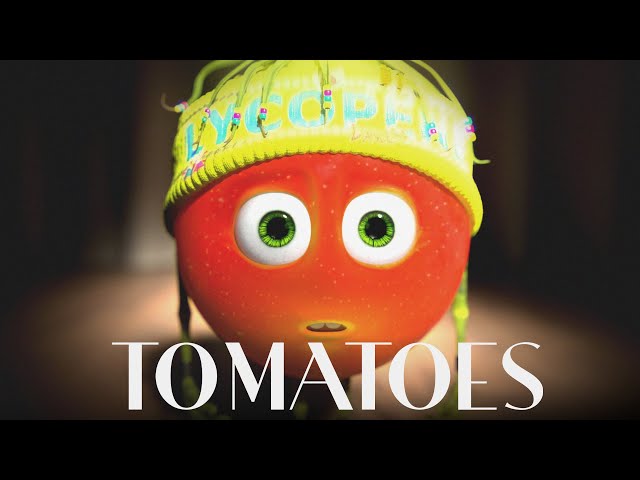 Tomatoes - A Tomato Talent Show gene…: English ESL video lessons