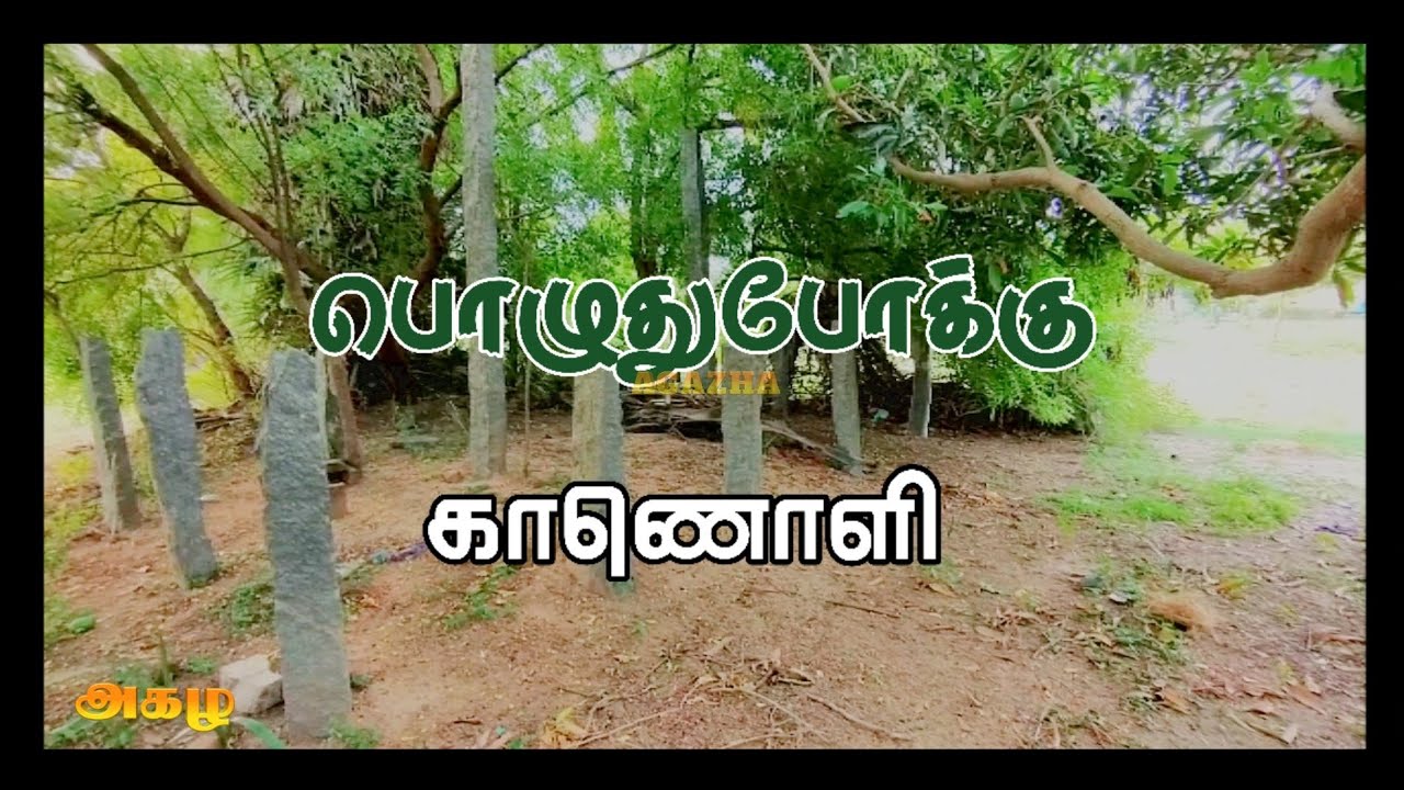 பொழுதுபோக்கு காணொளி | திண்டிவனம் | Entertainment video | Thindivanam ...