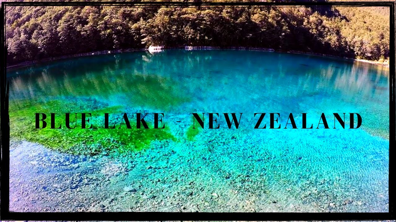 Clearest Lake in the World | Blue Lake - New Zealand - YouTube