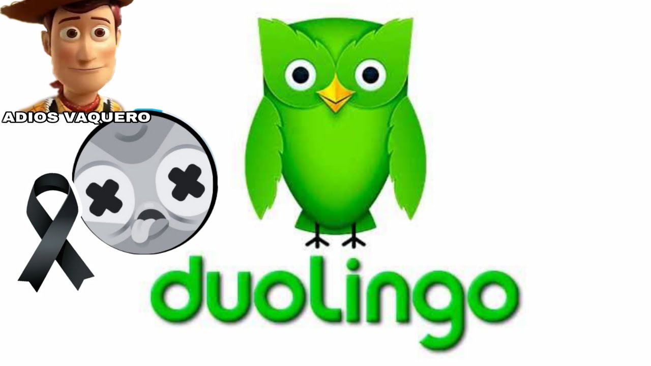 🔴 Última Hora: Muere Duolingo, murió el Búho de Duolingo que le pasó ...