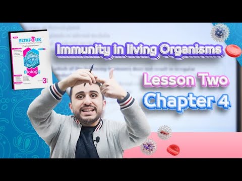 Chapter (4) Immunity | Lesson Two | Biology revision - حل كتاب التفوق ...