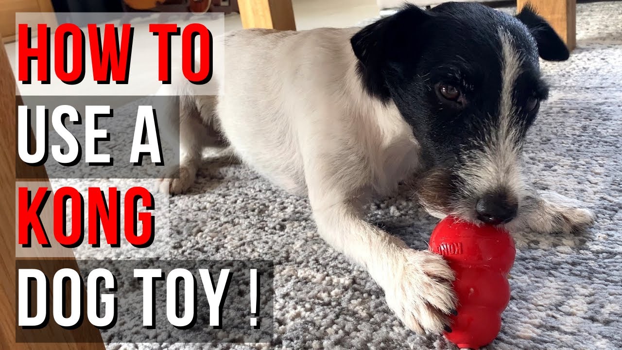 How To Use KONG Dog Toy ! Kong Eating TEST ! ASMR Kong SOUNDS ! Most ...