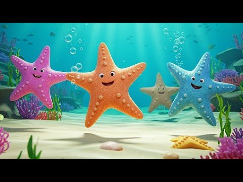 Five Little Starfish Adventure| Count With The Silly Starfish - YouTube