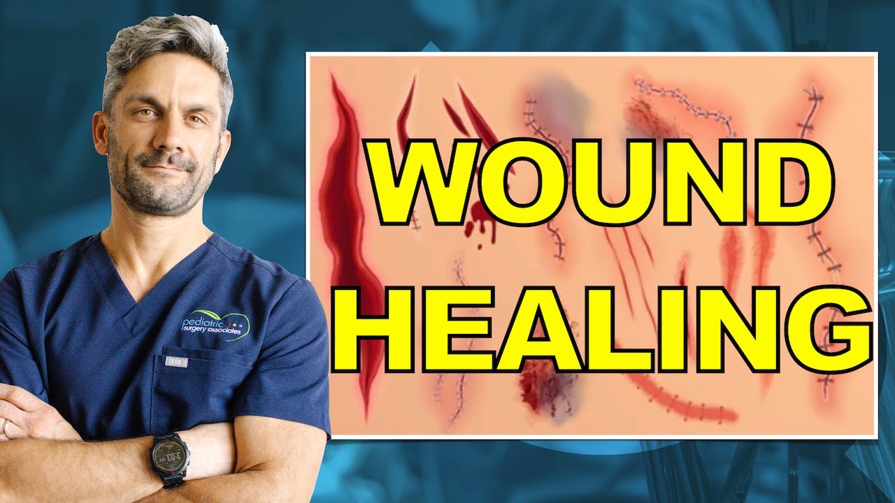 Understand the Phases of Wound Healing - YouTube