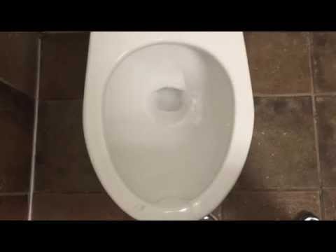 178. Wall Hung Eljer Signature Toilet. - YouTube