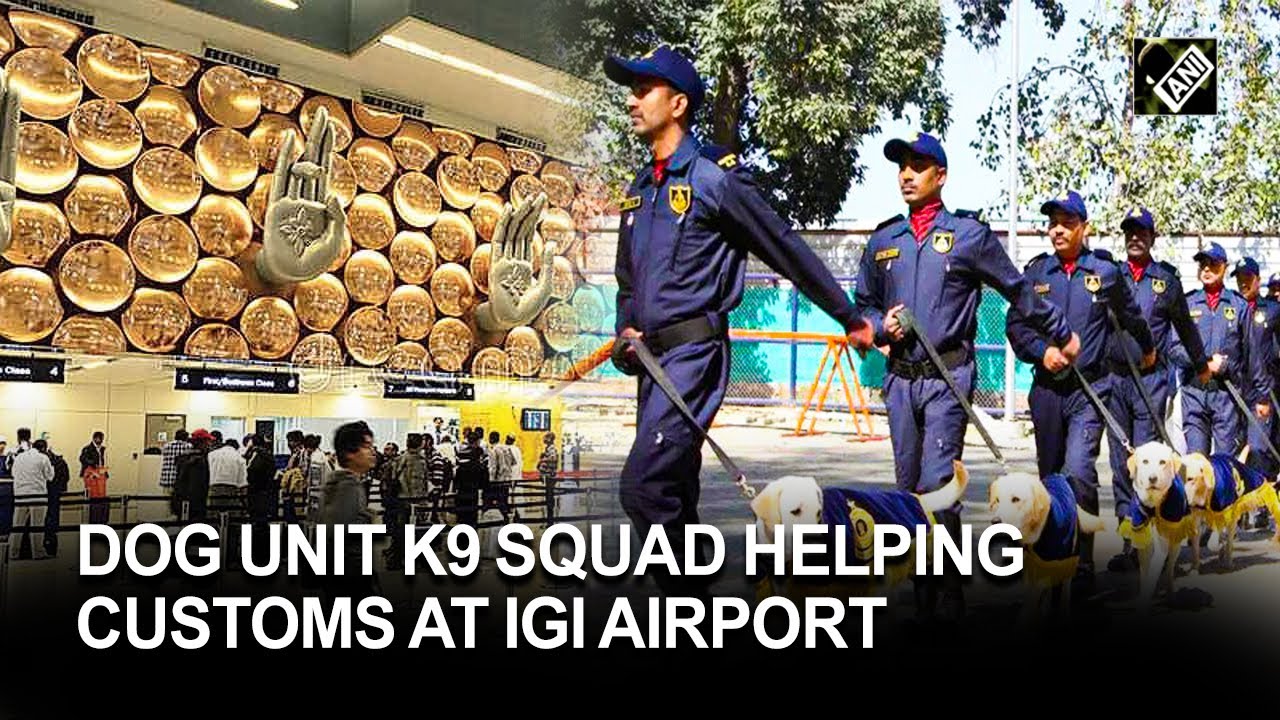 Dog unit K9 squad helping Indian Customs to detect narcotics, other ...