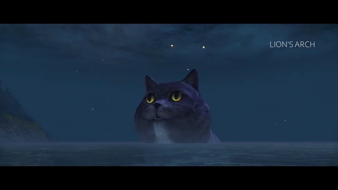 Guild Wars 2 - The King of All Cats - YouTube