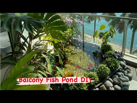 Balcony Fish Pond DIY - YouTube