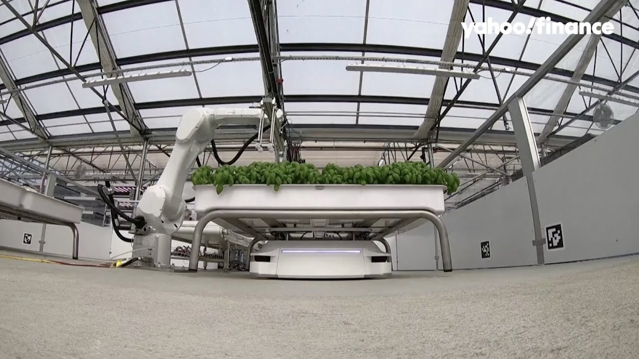 Robot farming helps grow produce using 90% less water and electricity ...