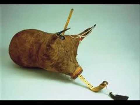 Taw..taw....mezwed tunisien