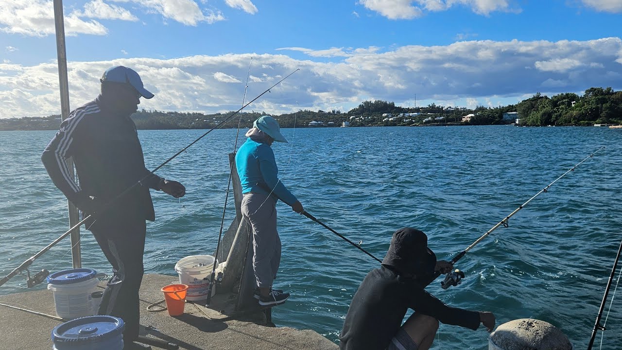 Lets Catch the Fish. - YouTube