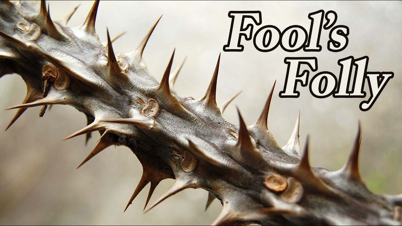 Proverbs 25-26 KJV - Fool's Folly - Bible in a Year Ep 206/365 - YouTube