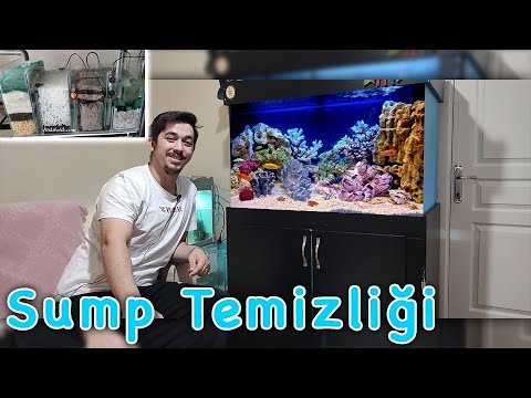 Sump sistemi nasıl temizlenmeli ve bakımı nasıl yapılmalı - YouTube