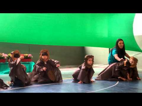 apresentação infantil 2 - colegio santa helena 2015