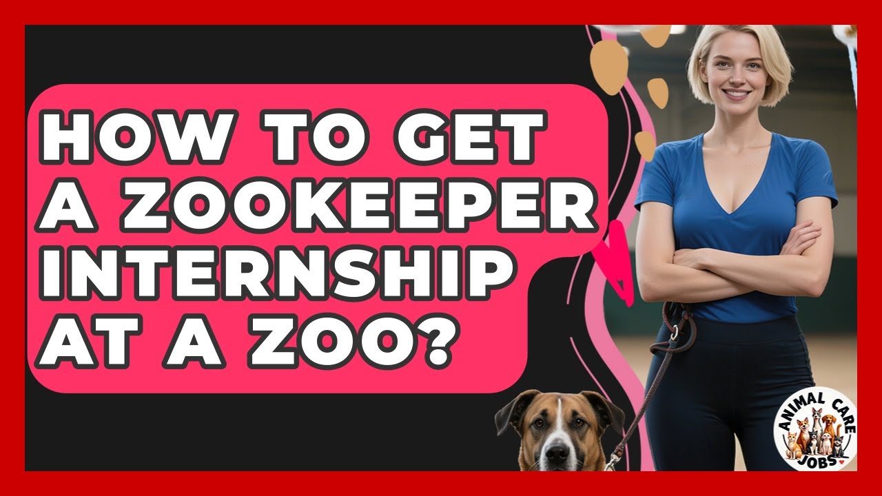 How To Get A Zookeeper Internship At A Zoo? - Animal Care Jobs - YouTube