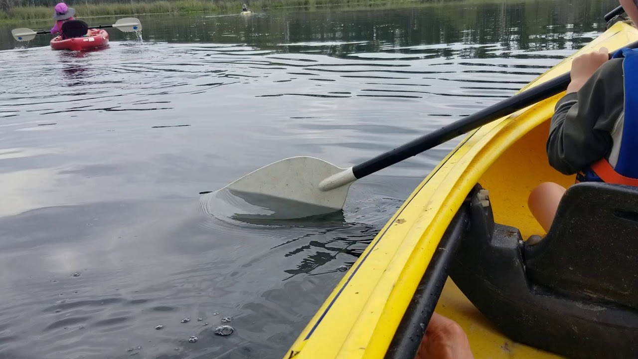 Meme Adventure-Lake Vause - YouTube