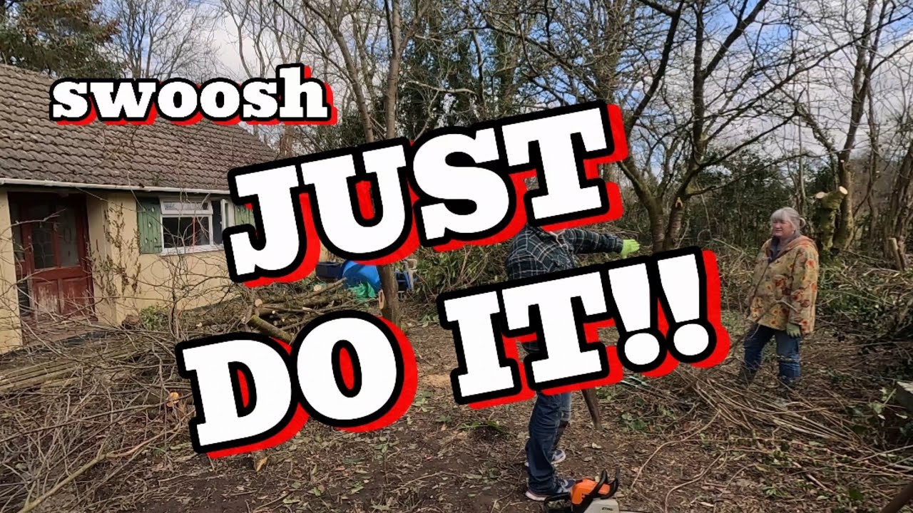 Pollarding trees overgrown garden renovation West Wales coast. - YouTube