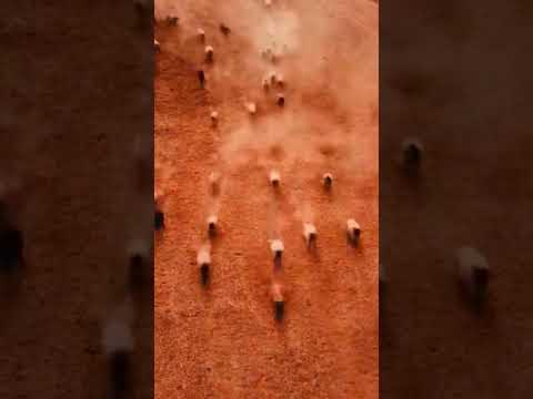 YÜCE ALLAH'IN ADALETİNE GÜVEN!