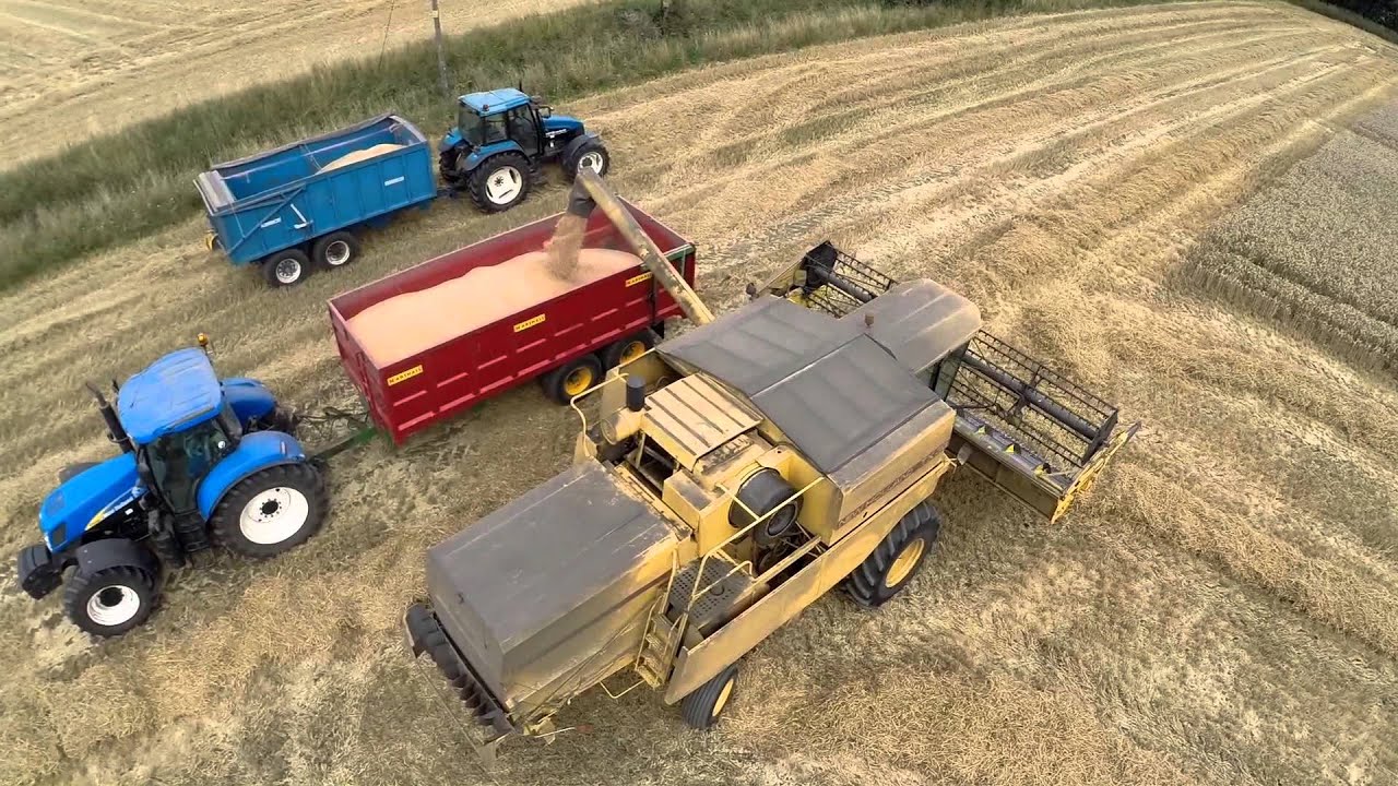 NEW HOLLAND TX36 HARVESTING WHEAT - YouTube