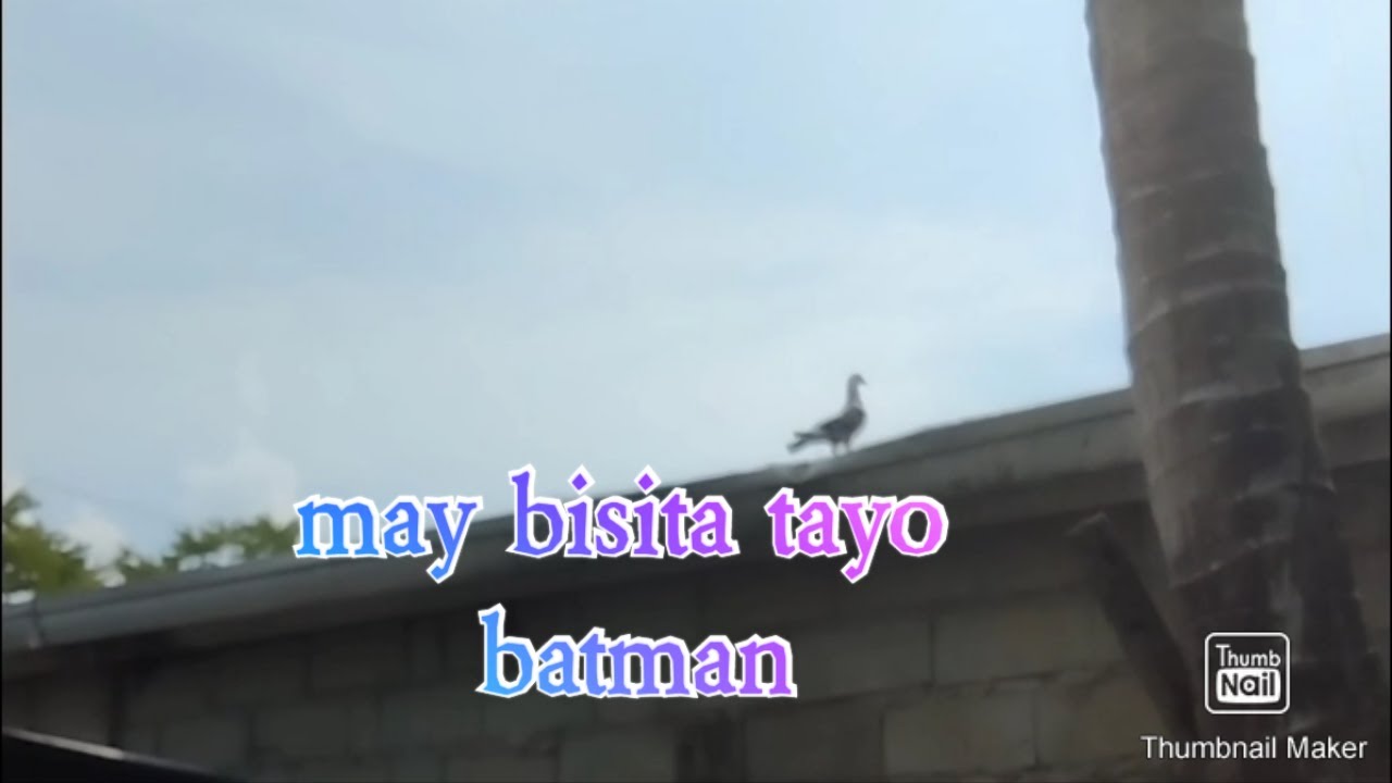 May Bisita Tayo Kalapati Batman @JoyTaiwan - YouTube