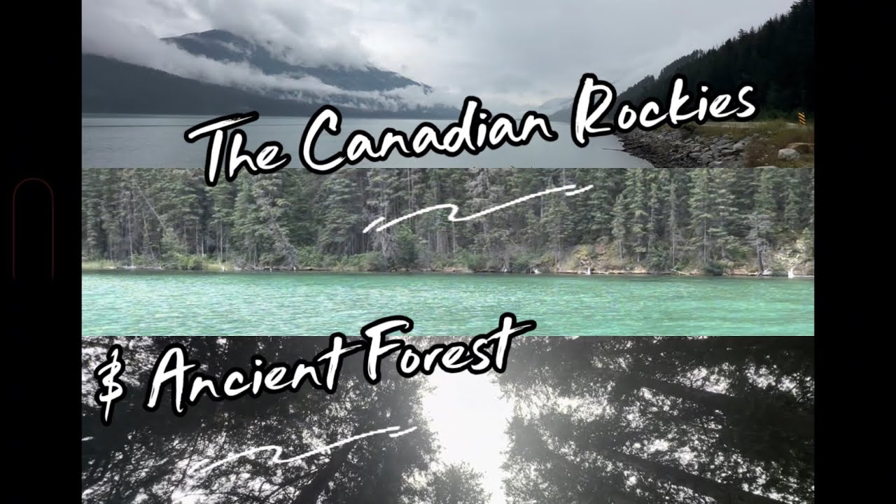 Canadian Rockies & Ancient Forest. The Greatest Day Trip Ever !! - YouTube